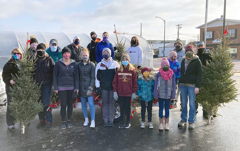 NUEA installs trees downtown | News, Sports, Jobs - The Journal